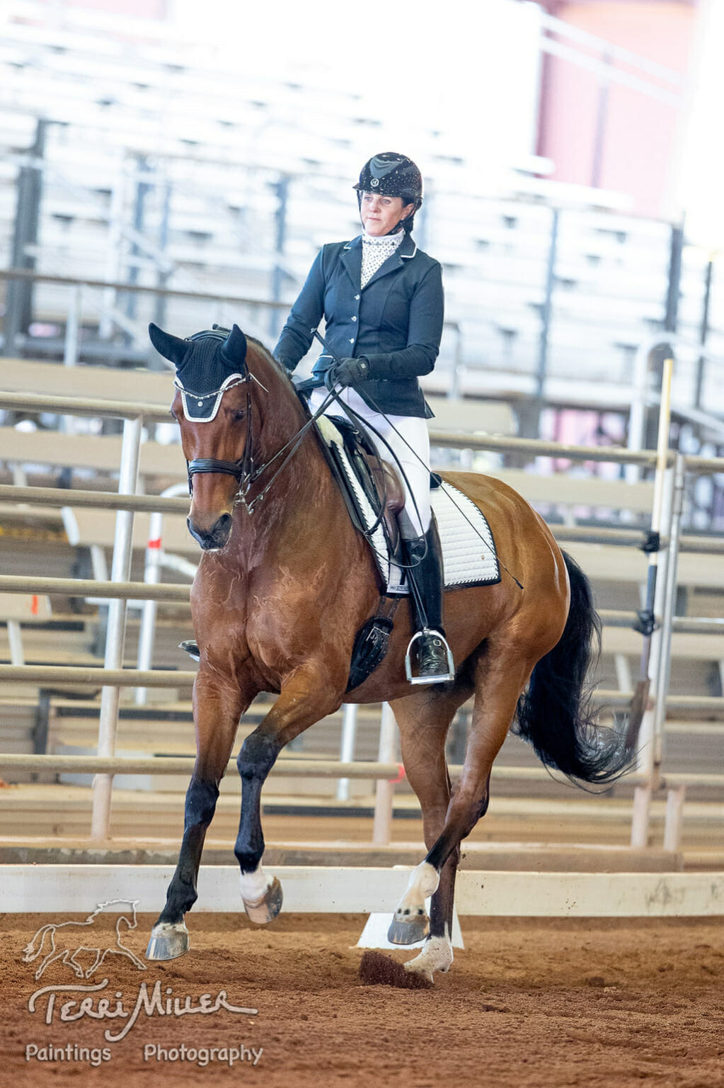 Valley attorney Wendy Riddell finds harmony on horseback - AZ Big Media