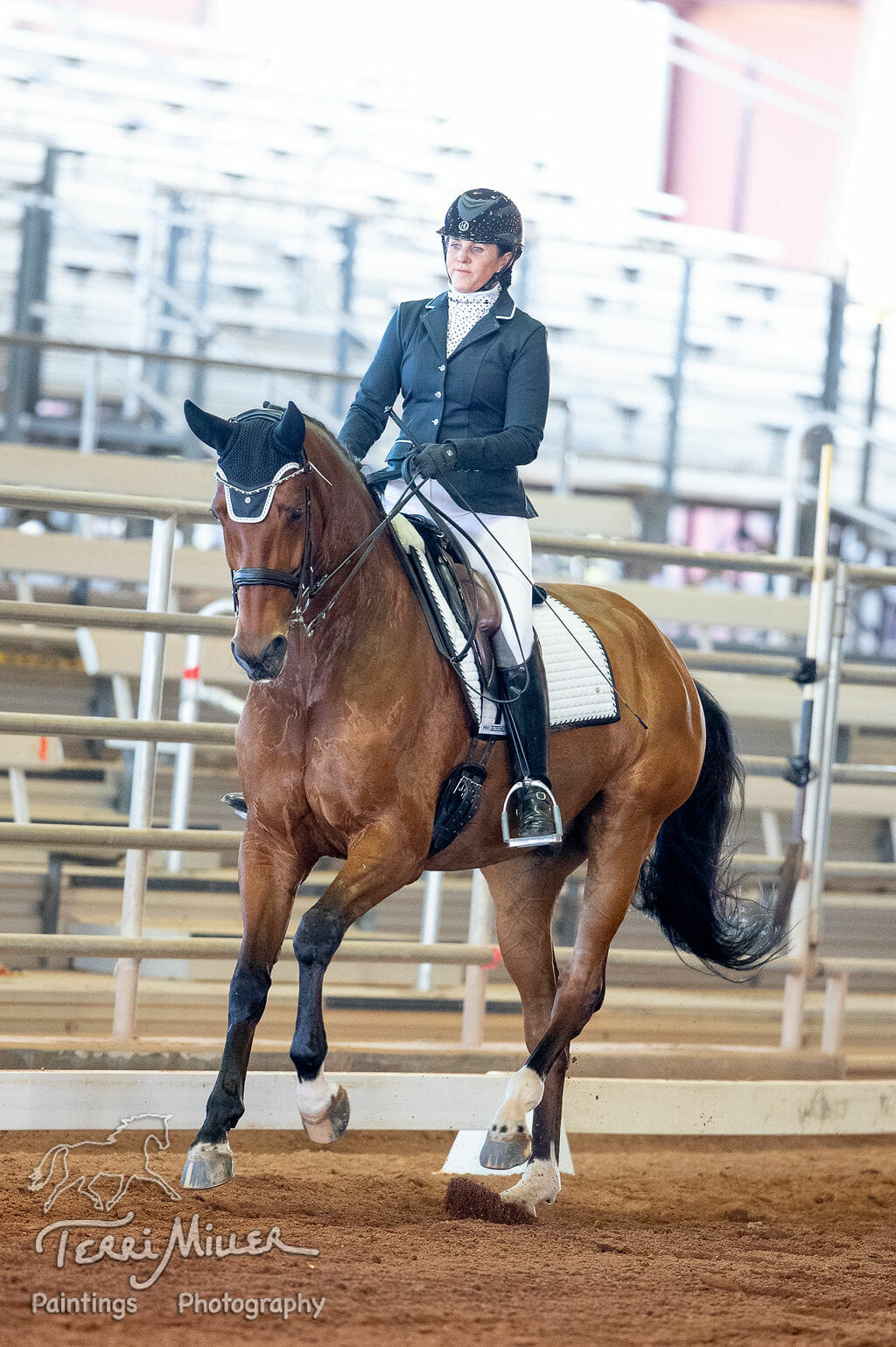 Valley attorney Wendy Riddell finds harmony on horseback - AZ Big Media