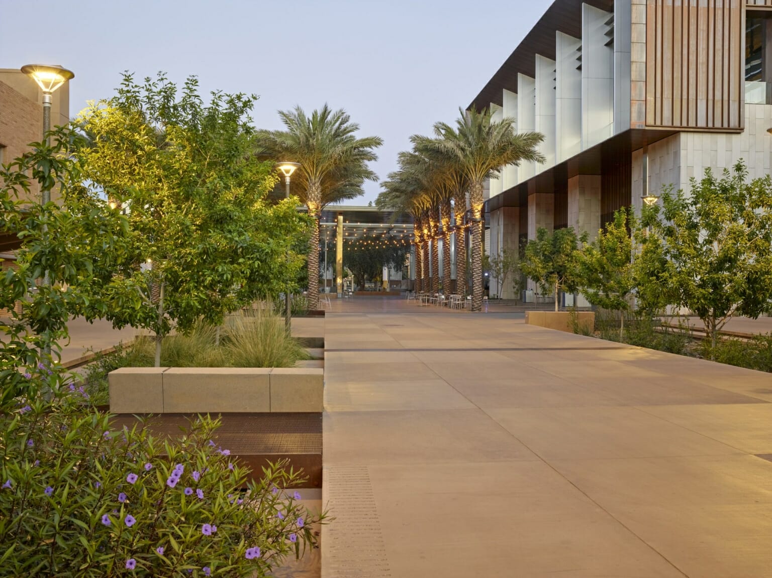 ASU mall earns certification for sustainable landscape - AZ Big Media