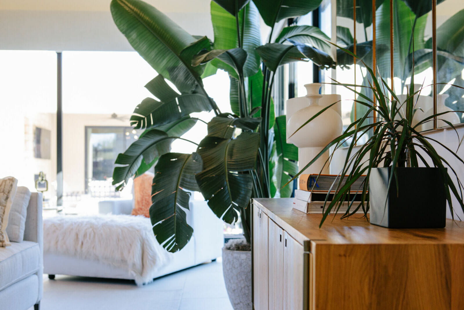 Scottsdale luxury homebuilder launches Cameron Custom Homes ...