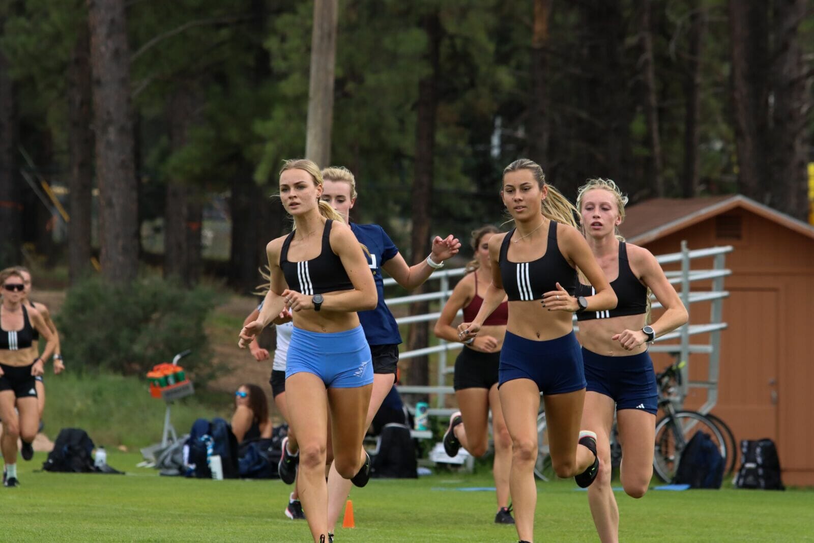 How Flagstaff has transformed into the capital of running world - AZ ...