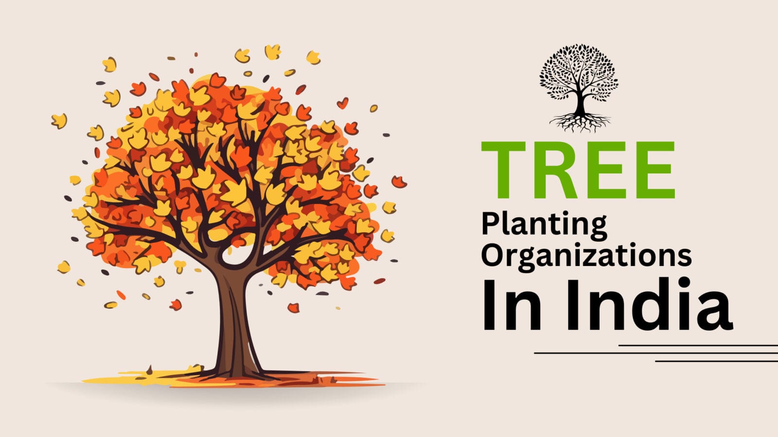 Top 12 leading tree planting organizations in India - AZ Big Media