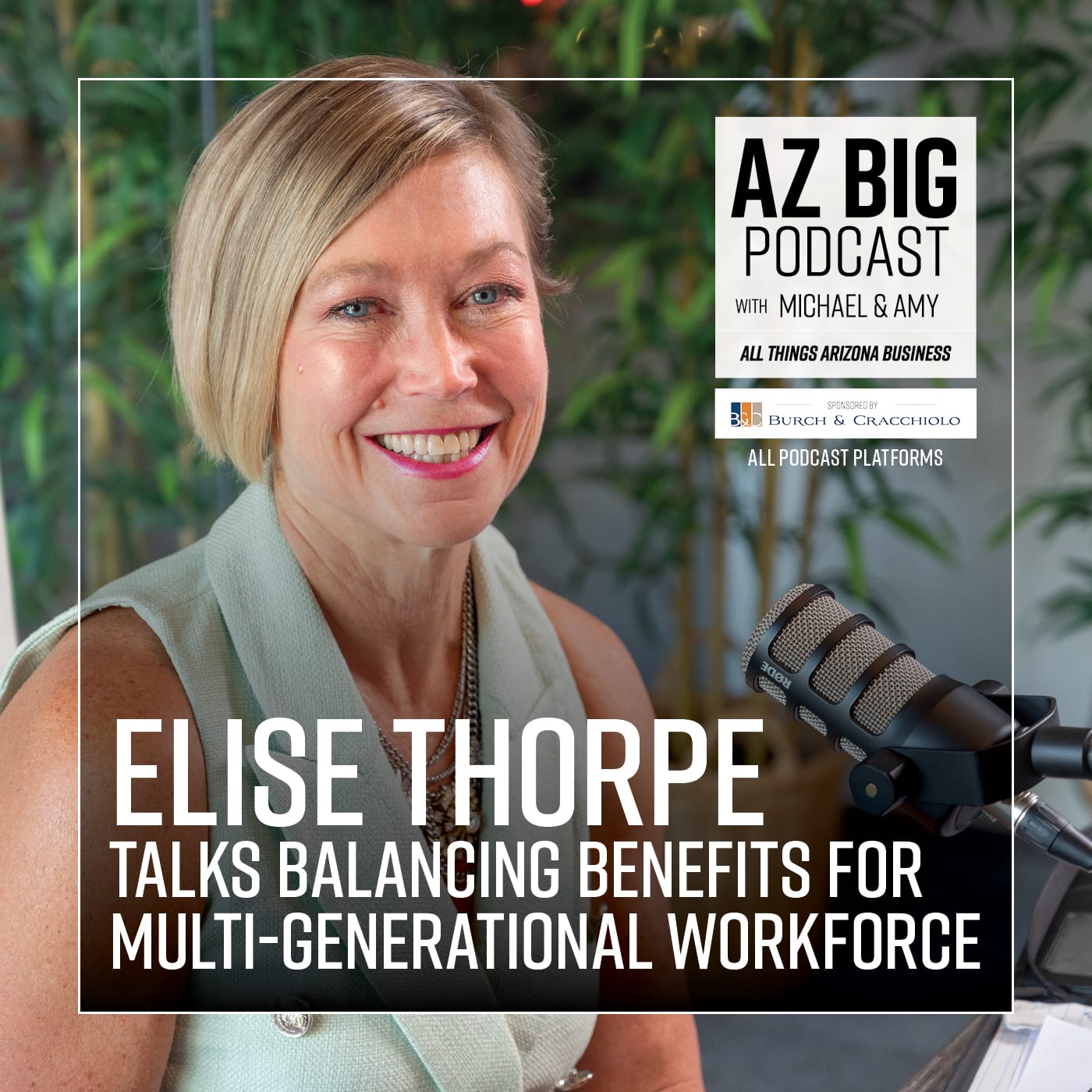 AZ Big Podcast: Elise Thorpe of MMA talks trends in employee benefits ...
