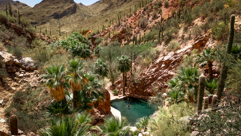 Oprah Daily picks Castle Hot Springs as best destination spa - AZ Big Media