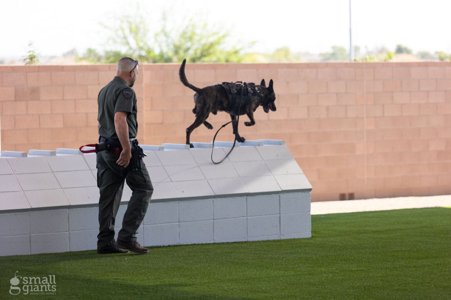 City of Avondale opens new K-9 training facility - AZ Big Media