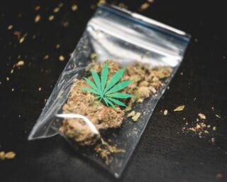 Top 5 cannabis packaging companies - AZ Big Media